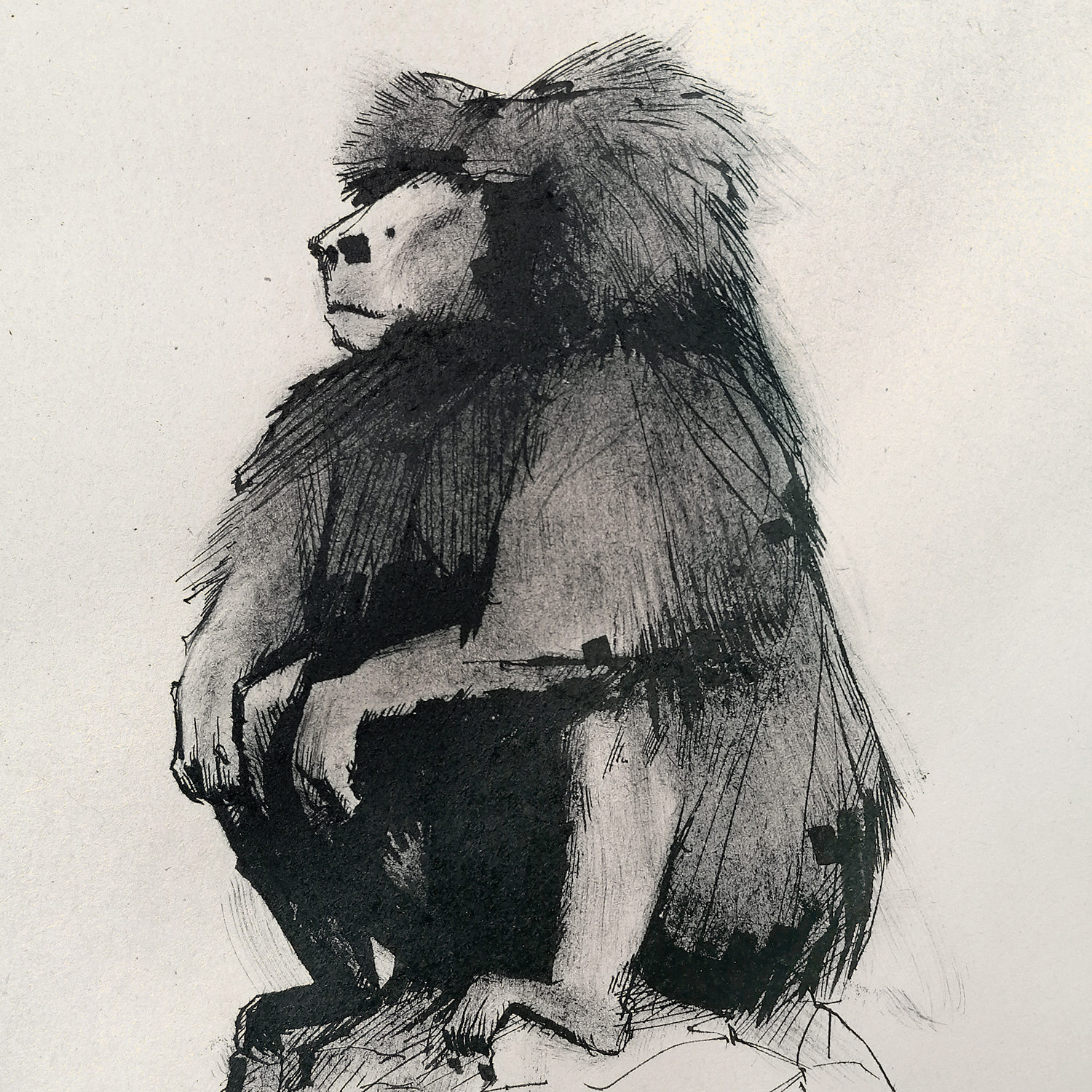 primates | Paintings - Drawings - Shop - Berlin | Remy Sant